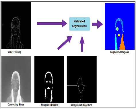 The Outcomes Of The Pre Processing Procedures Download Scientific Diagram