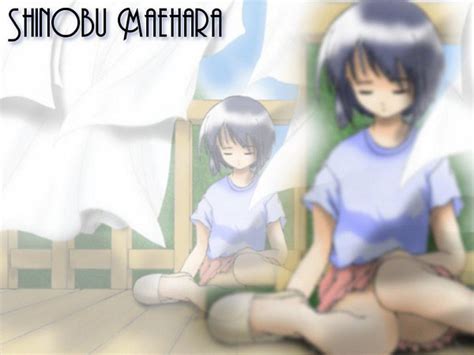 Maehara Shinobu Love Hina Image Zerochan Anime Image Board