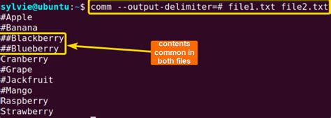 The “comm” Command In Linux 10 Practical Examples