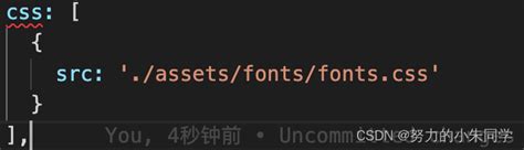 在 Nuxtjs 和 Vuejs 项目中引入第三方字体或艺术字vue艺术字 Csdn博客