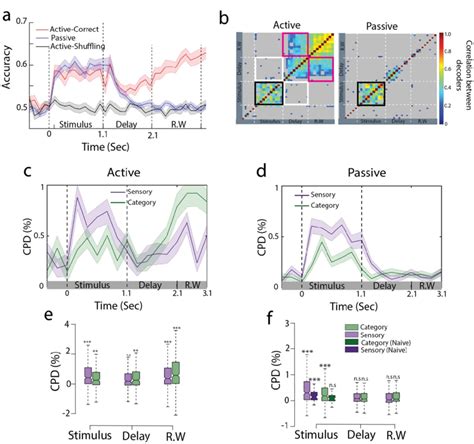 Population Decoding Of Categorical Information From Primary Auditory Download Scientific