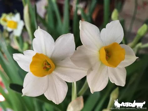 Python经典练习题——求水仙花数python中水仙花数的题 Csdn博客