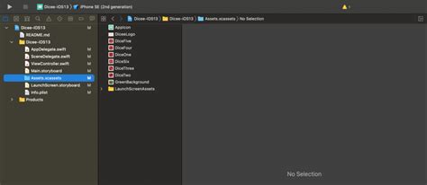 How To Show Image In SwiftUI CodeSpeedy