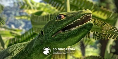 Hylonomus 3d Dinopedia