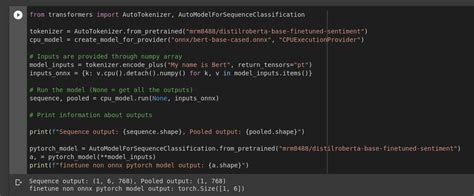 Onnx Converted Model Has Its Output Shape Modified When Compared To Original Finetuned Model