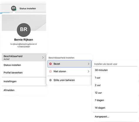 Webex Calling Instellingen Rijksvideodienst