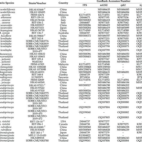 Sequence Information Used In The Molecular Phylogenetic Analyses