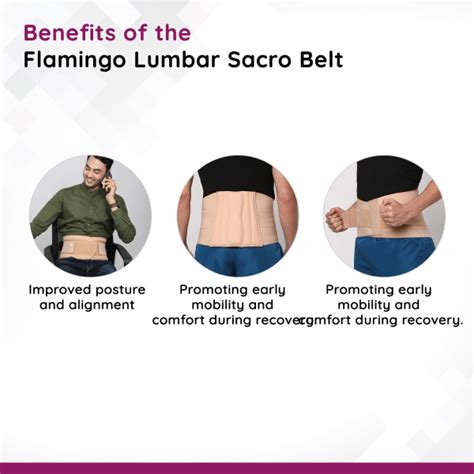 Buy Flamingo Lumbar Sacro Belt Oc 2001 S 1s Online At