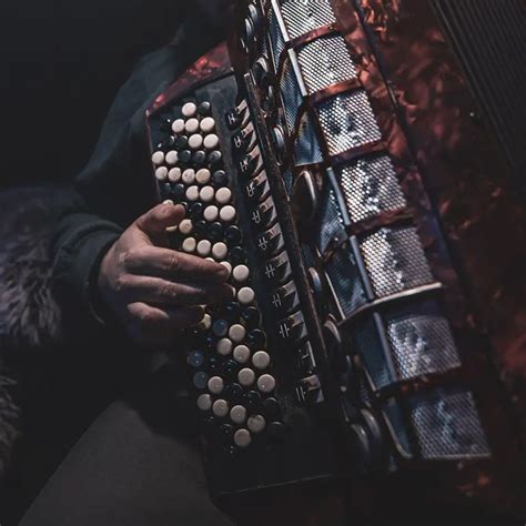 Types Of Accordions And Their Distinctive Features