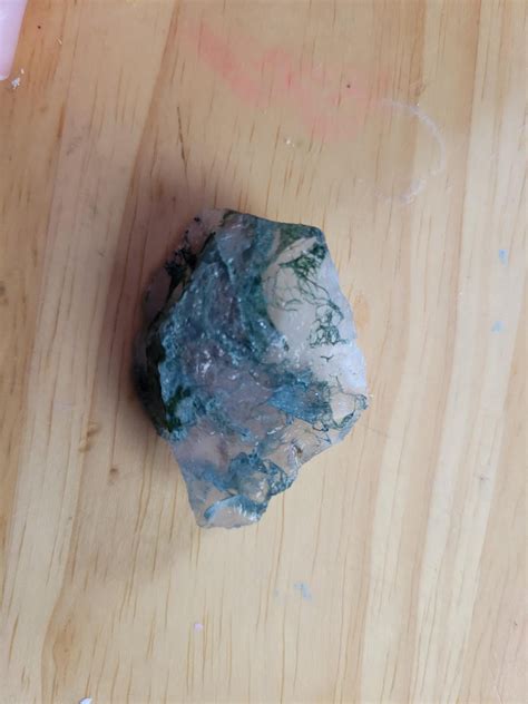 Fossilized Plants In Quartz R Fossils