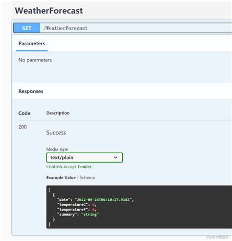 c asp web core api 6 0 net6 api 开发 csdn博客