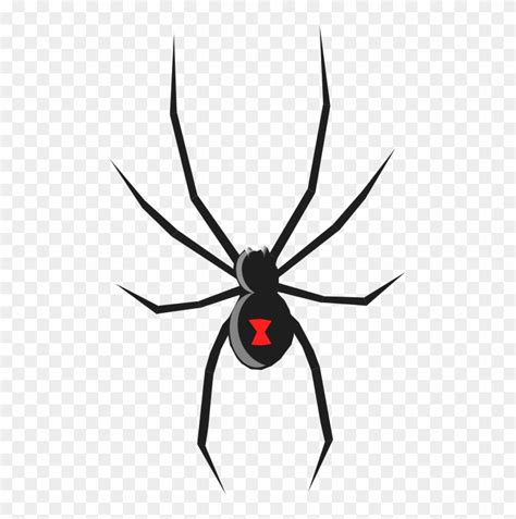 Spider Free To Use Clip Art Black Widow Spider How To Draw HD Png