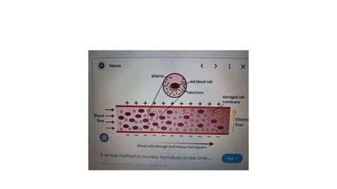Fragility Test Causes Diagnosis Alleviation Pptx