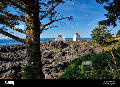 Amphitrite Lighthouse Wild Pacific Trail Pacific Rim National Park