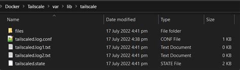 Fr Run Non Ephemeral Docker Container · Issue 4913 · Tailscale Tailscale · Github