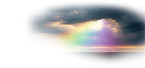 Intersex Differences Of Sexual Development Disorders Of Sexual Development And Other Non