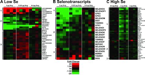 Hierarchical Cluster Analysis Of Significant De Transcripts Q