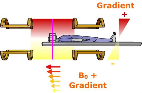 Spatial Encoding In Mri Magnetic Field Gradients E Mri Spatial Encoding In Mri Magnetic Field Gradients E Mri