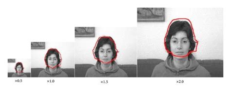 Rotation And Scale Invariance A The Training Image And Mask Download Scientific Diagram