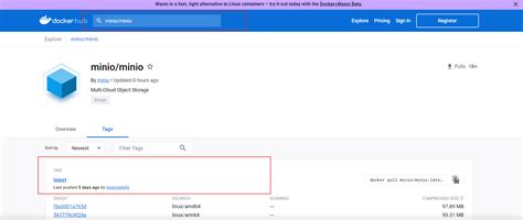 记录minio Docker部署docker Minio Hub Csdn博客