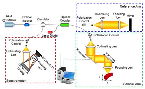 Schematic Of A Spectral Domain Oct System Red Box Spectrometer Blue