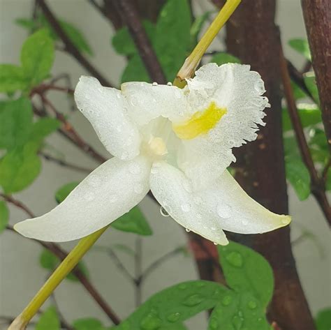 ท่องอวกาศ ภาพถ่ายกาแล็กซีแอนดรอมิดาที่ละเอียดที่สุด นี่คือภาพถ่ายโมเสกขนาดยักษ์ของ กาแล็กซีแอน