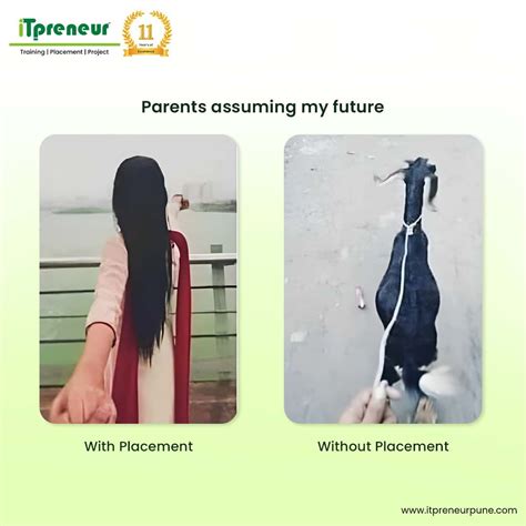 Itpreneur On Linkedin Jobsearch Trainingandplacement Itcourses