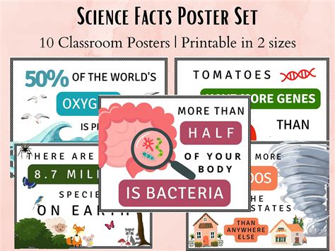 Fun Science Facts Classroom Poster Set V2 Science Classroom Décor