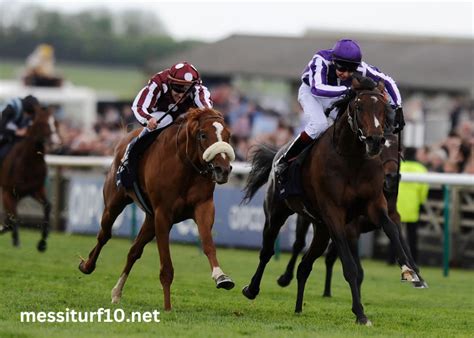 La Voyeuse Coup Sur Messiturf10