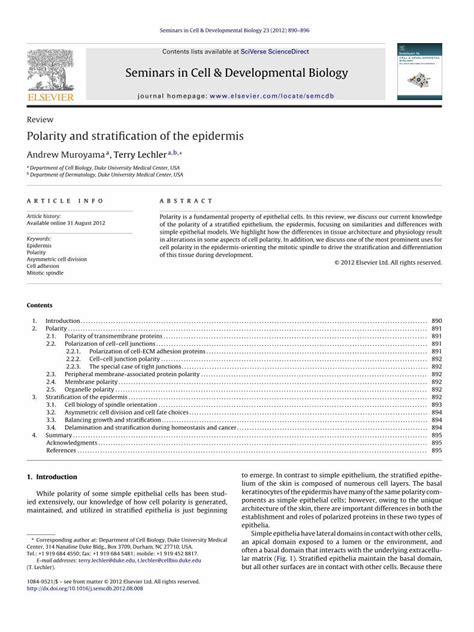 Pdf Polarity And Stratification Of The Epidermis Dokumen Tips