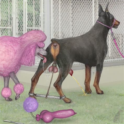 Rule 34 Ambiguous Gender Animal Dildo Animal Genitalia Animal Penis