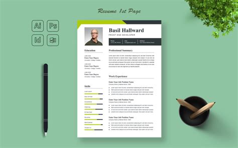 Professional Resume Cv Design Layout Templatemonster