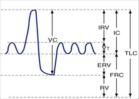 Functional Capacity Test
