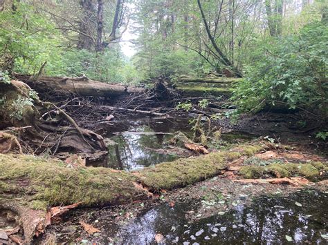 Indigenous Guardian Program Spotlight Ahousaht Stewardship Guardian