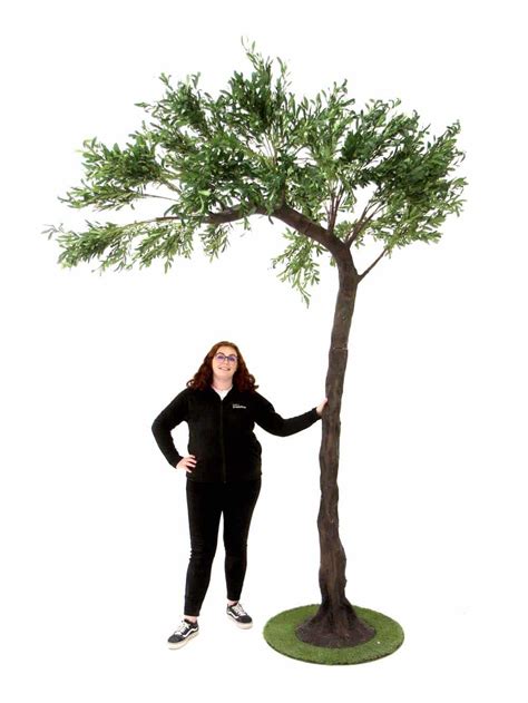 Half Human Half Tree