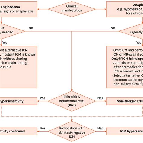 Algorithm For Patients With Immediate Hypersensitivity Reactions To