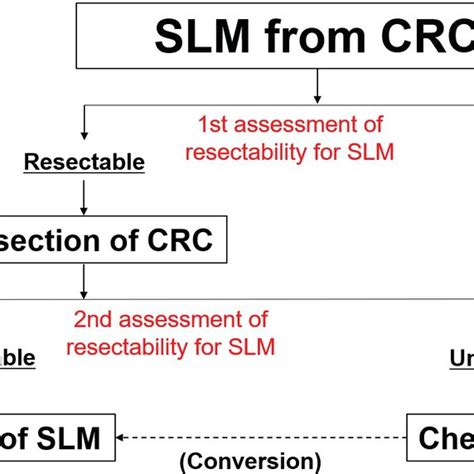 Treatment Strategy Slm Synchronous Liver Metastases Crc Colorectal