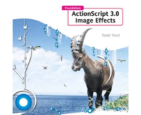 Foundation Actionscript 30 Image Effects ~ Most Ebooks