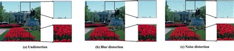 Different Semantic Regions Show Different Responses For The Same