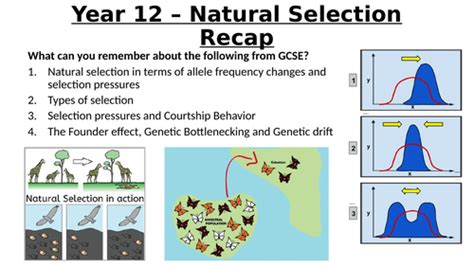 A Level Aqa Biology Selection Recap Teaching Resources