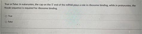 Solved True Or False In Eukaryotes The Cap On The 5′ End