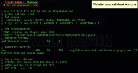 Wali Khan Kakar On Linkedin Dnsenumeration Digcommand Nmap