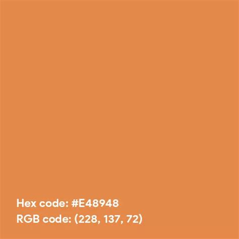 Sweet Potato Color Hex Code Is E48948
