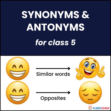 Class 5 Grammar Worksheet On Adverbs Of Degree Planetspark