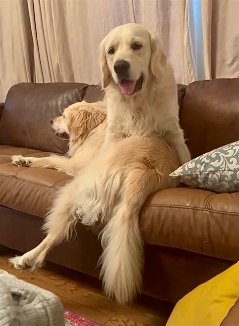 Again Bubba Sits Where Bubba Wants Get Ova It Lisa 😎 Rico Suave