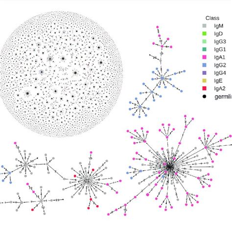 Reconstructed Clonal Histories Of B Cell Lineages Examples Of