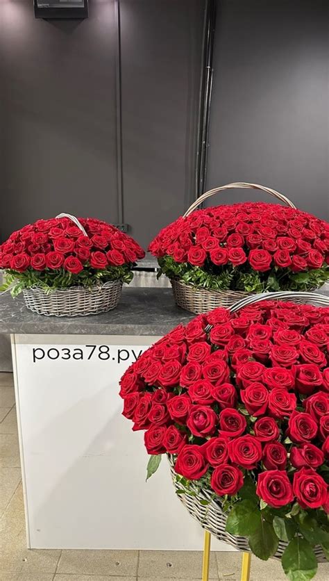 Статьи сообщества роза78.ру | ВКонтакте