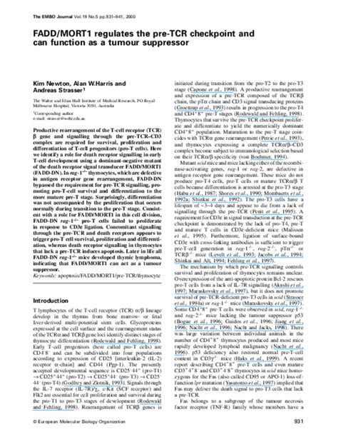 Pdf Fadd Mort1 Regulates The Pre Tcr Checkpoint And Can Function As A