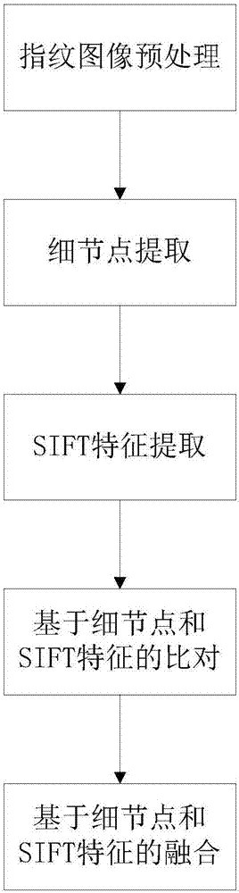 一种基于细节点和纹理特征的指纹图像识别方法与流程