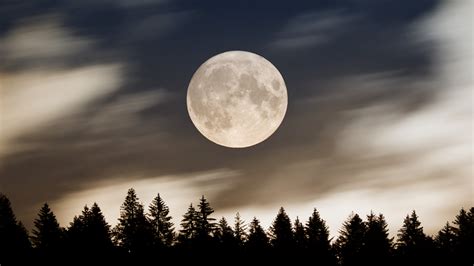 August Full Moon Guide 2024 Full Sturgeon Moon